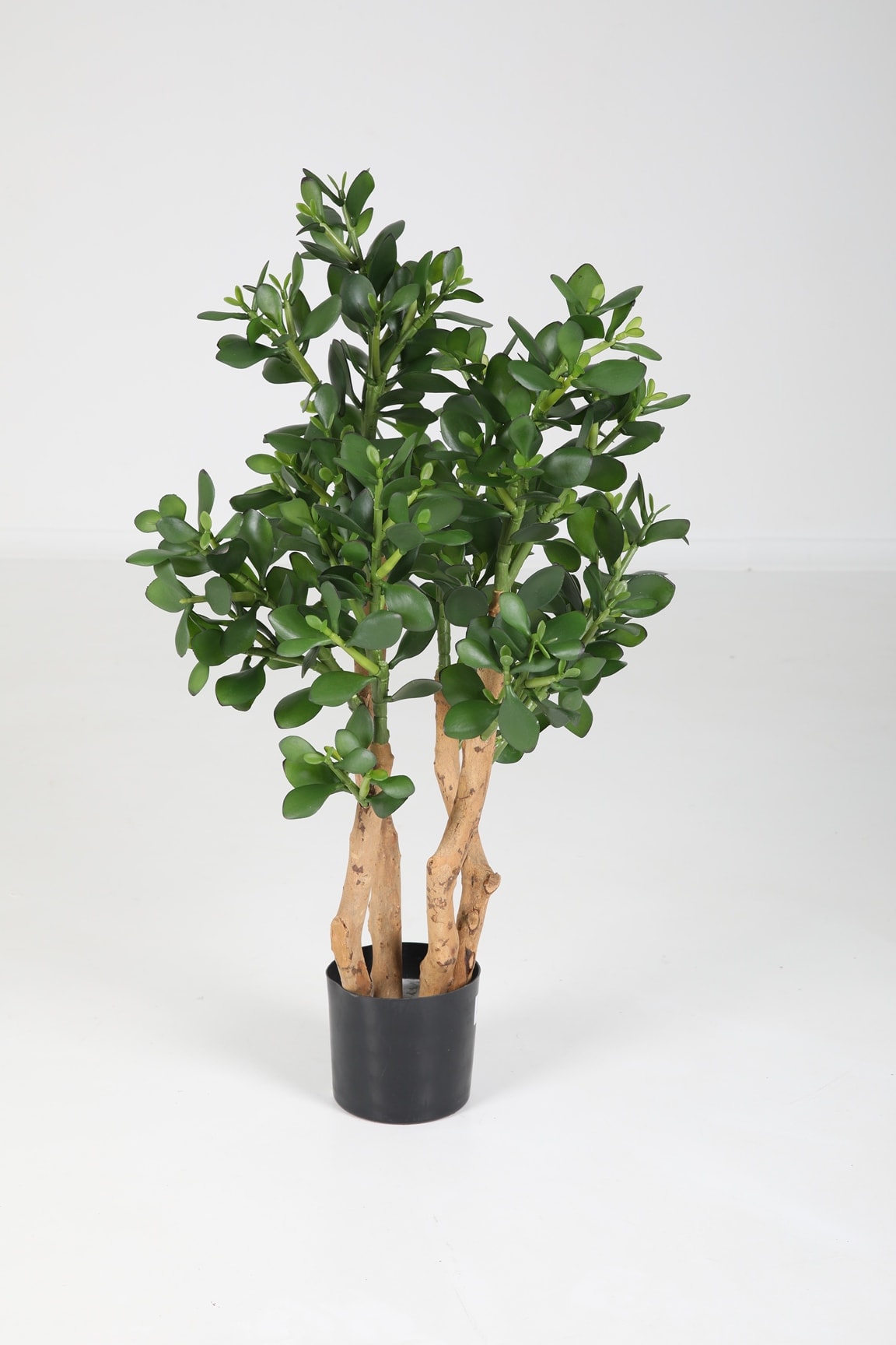 Plastic Money Tree - Art Flower Creation